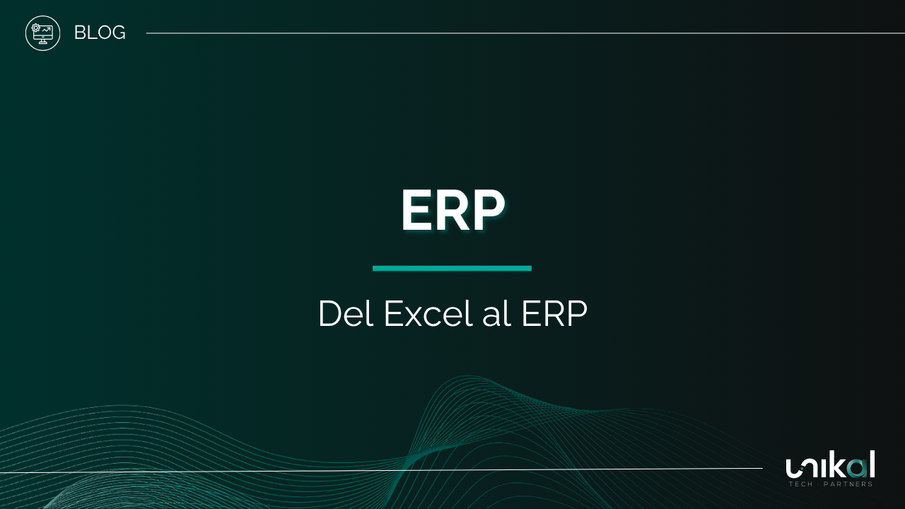 De Excel al ERP